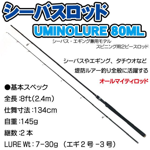 シーバス入門オールインワンセットPE シーバスロッド+リール PE シーバス入門オールインワンセットPE シーバスロッド+リール PE