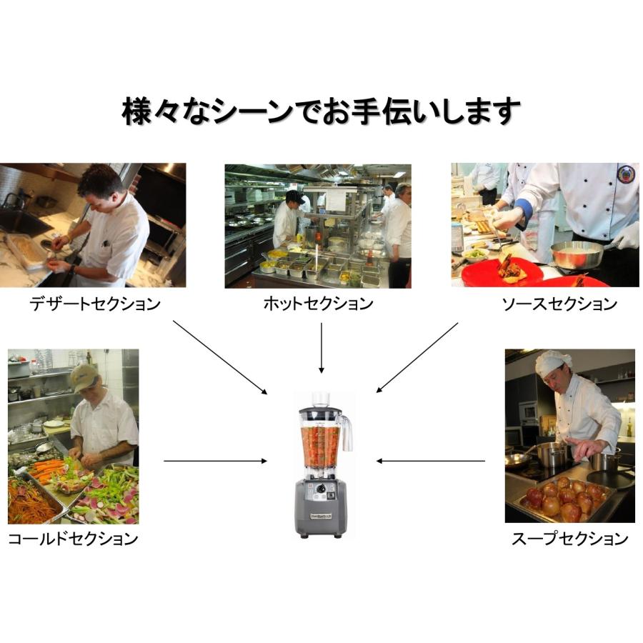 日本国内正規輸入品 ハミルトン Hamilton Beach フードブレンダー HBF600 ポリカーボネート容器 ミドルサイズモデル : 宝 ...