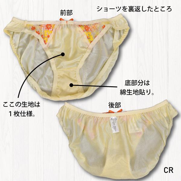 Fairy ES ESフェアリー71409 ブラ＆ショーツセット フラワーシャワーコレクション ブラジャーとショーツのセット : サビーネ ...