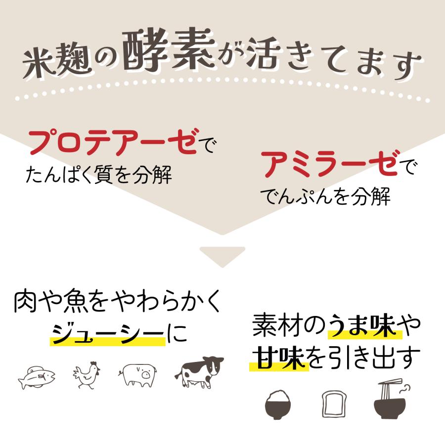 こうじや里村 塩麹 塩麹パウダー だし入り 96g （12g×8）×3個セット コーセーフーズ 粉末 塩こうじ 粉末塩麹 米麹 米こうじ : 甘酒・米麹・ぬか床のこうじや里村 - 通販 ...