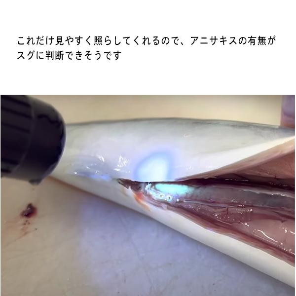 Hapyson / ハピソン 津本式シリーズ アニサキスライトYF-980 強力UVライト IPX7防水 : つりぐのUSHIDA FISHING - 通販 - Yahoo!ショッピング