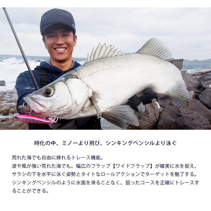 Maria マリア FLA-PEN Wing フラペンーウィング S85 24g (メール便対応) : つりぐのUSHIDA FISHING ...