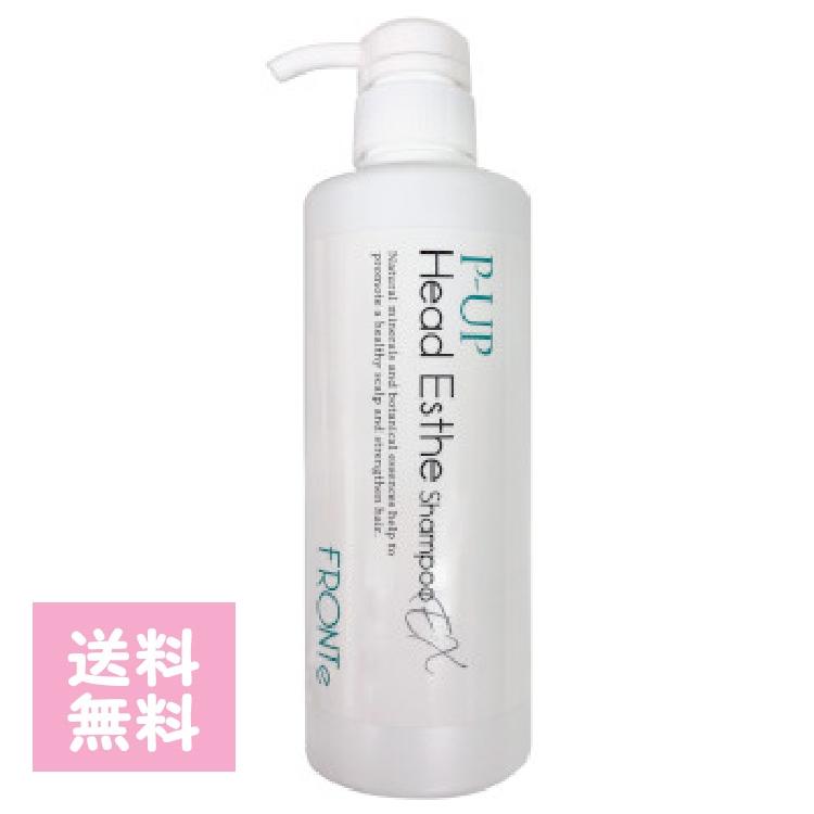 P-UP ヘッドエステシャンプーEX 480ml オールインワンシャンプー 超美振動 毛穴 スッキリ 天然由来成分 植物エキス 保湿成分 : つや髪美肌研究SHOP - 通販 - Yahoo ...