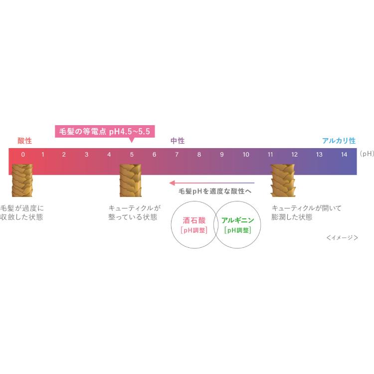 PROMASTER CAREPLEX プロマスターケアプレックス No2 670g 化粧品 プロマスター ケアプレックス ヘアケア ダメージ ...