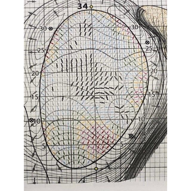 2023 TYB GREEN 3D 葛城ゴルフ倶楽部 宇刈コース （LPGA QTファイナル仕様） : TYB18 - 通販 - Yahoo!ショッピング