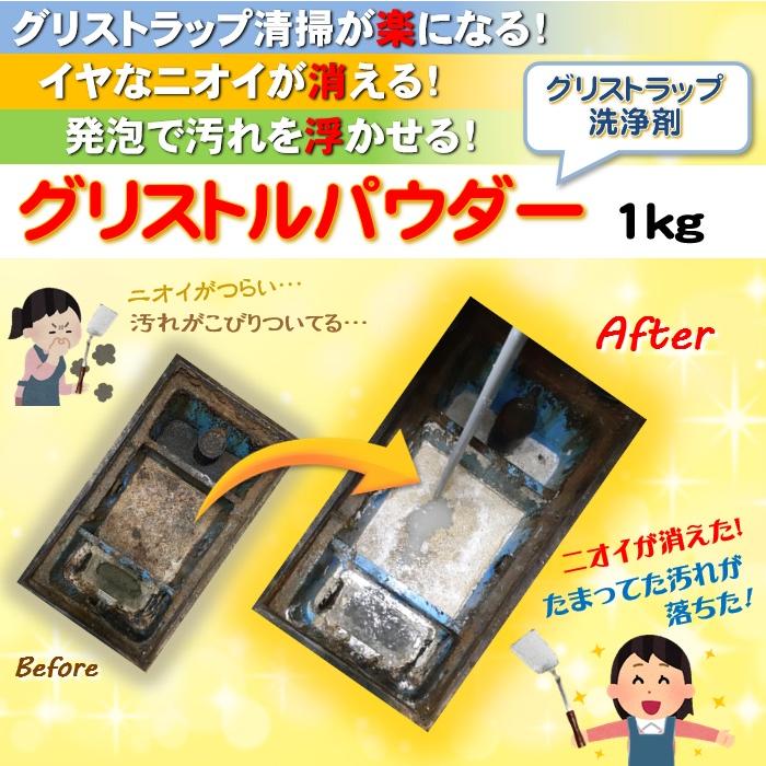 グリストルパウダー 1kg DSP-1000P 業務用 グリストラップ洗浄剤 有希化学(株)製 : 厨房・Byonho - 通販 - Yahoo!ショッピング