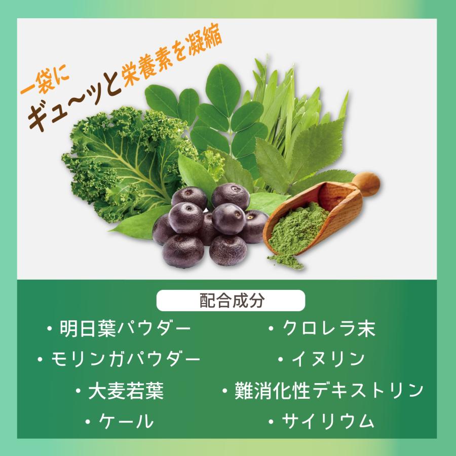 ファインラボ ファイン・ラボ ファイナルグリーン MAX2 300g×2個セット 野菜 乳酸菌 手軽 FLGR ちゃぴさん ...