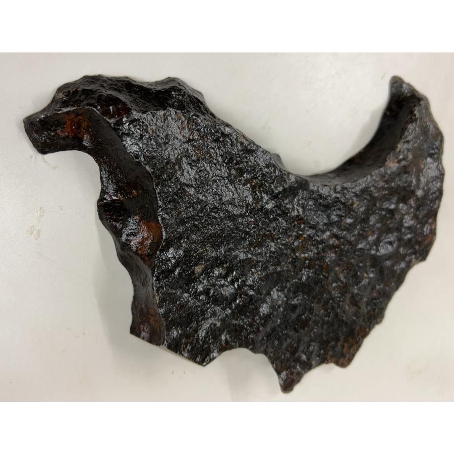 ギベオン隕石 【超特大】 2,680g Gibeon meteorite 鉄隕石 : 宇宙村 - 通販 - Yahoo!ショッピング