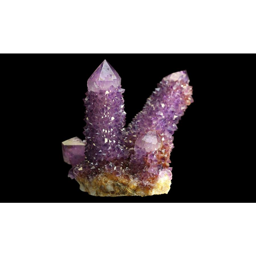 Cactus Amethyst カクタス・アメシスト : UGS - 通販 - Yahoo!ショッピング