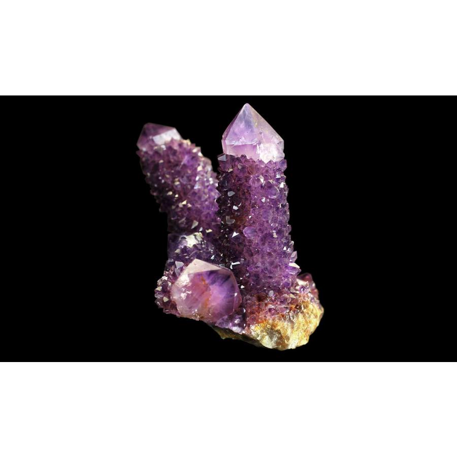 Cactus Amethyst カクタス・アメシスト : UGS - 通販 - Yahoo!ショッピング