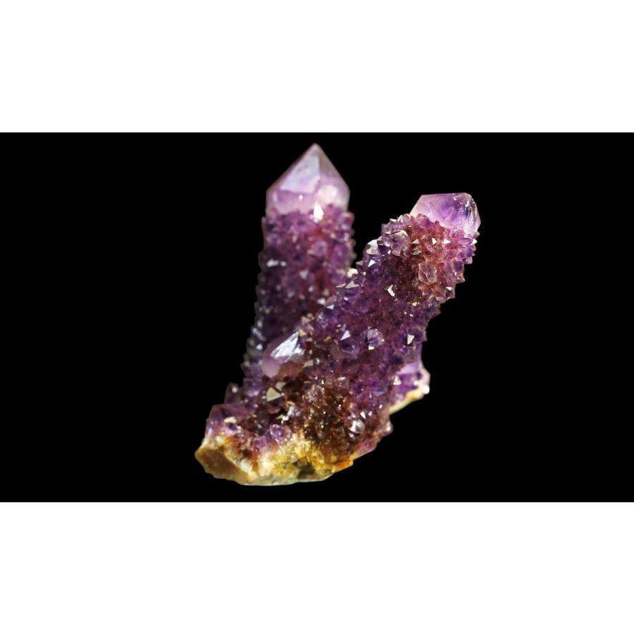 Cactus Amethyst カクタス・アメシスト : UGS - 通販 - Yahoo!ショッピング