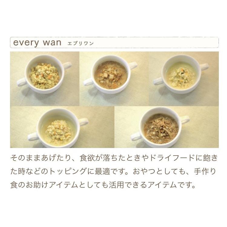 アニマルワン エプリ ワン サムゲタン 60g*3袋 every wan トッピング副食 犬のエサ : utptpf790-0044 : UIITショップ - 通販 - Yahoo!ショッピング