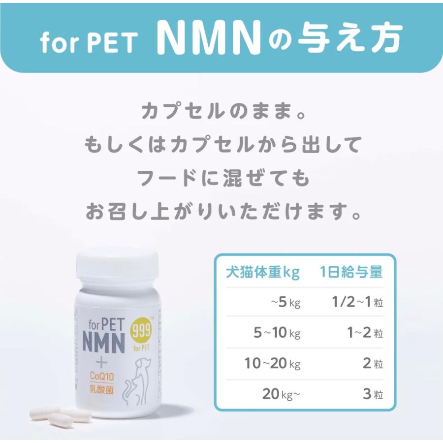 999 for PET NMN 60粒 健康ケア エイジングケア ペットサプリメント : UIITショップ - 通販 - Yahoo!ショッピング