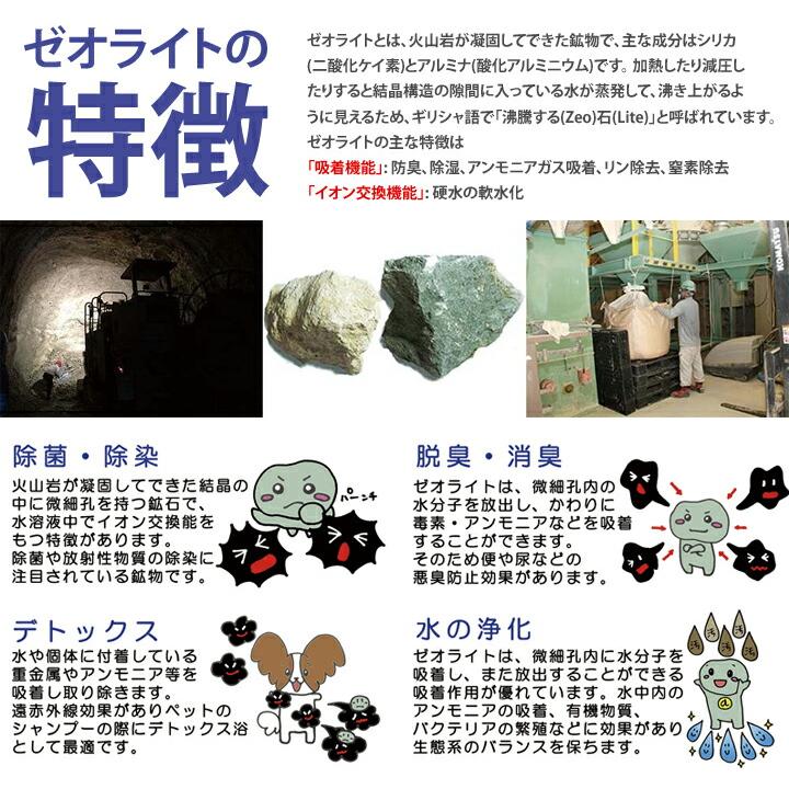 MAGIC ZEO EDOG JAPAN EDOGJAPAN 犬用歯磨き粉 Magic Zeo PRO マジックゼオプロ 40cc ペースト ...