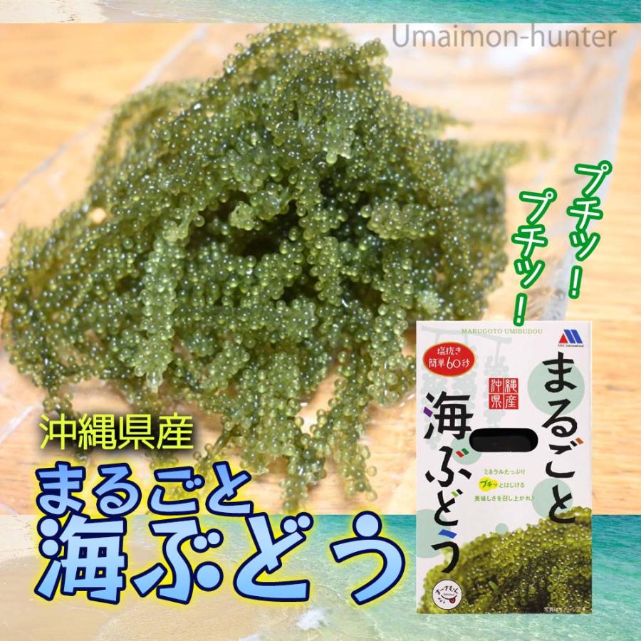 まるごと 海ぶどう 50g×6箱 メックインターナショナル 沖縄県産 塩抜き簡単60秒 : mkin-umbdu-0050-nm-006 : 旨いもんハンター - 通販 - Yahoo!ショッピング