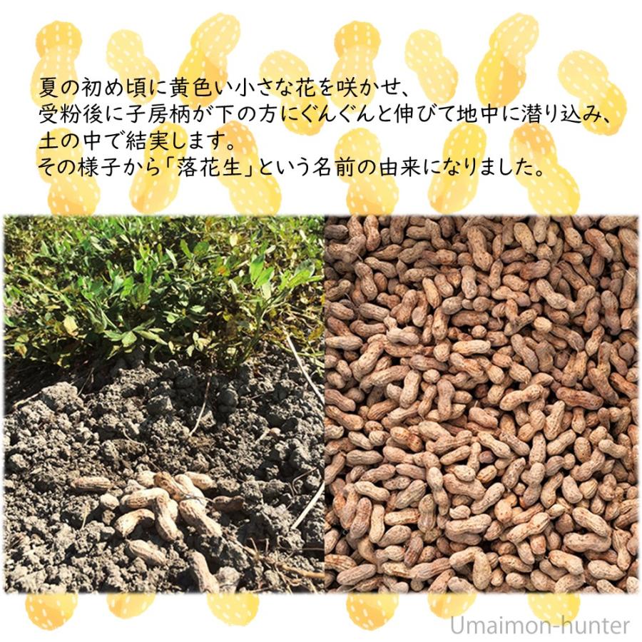 じーまーみ豆腐 120g×3P うりずん物産 沖縄 土産 人気 落花生のお豆腐 惣菜 ご自宅用に お土産に : 旨いもんハンター - 通販 - Yahoo!ショッピング