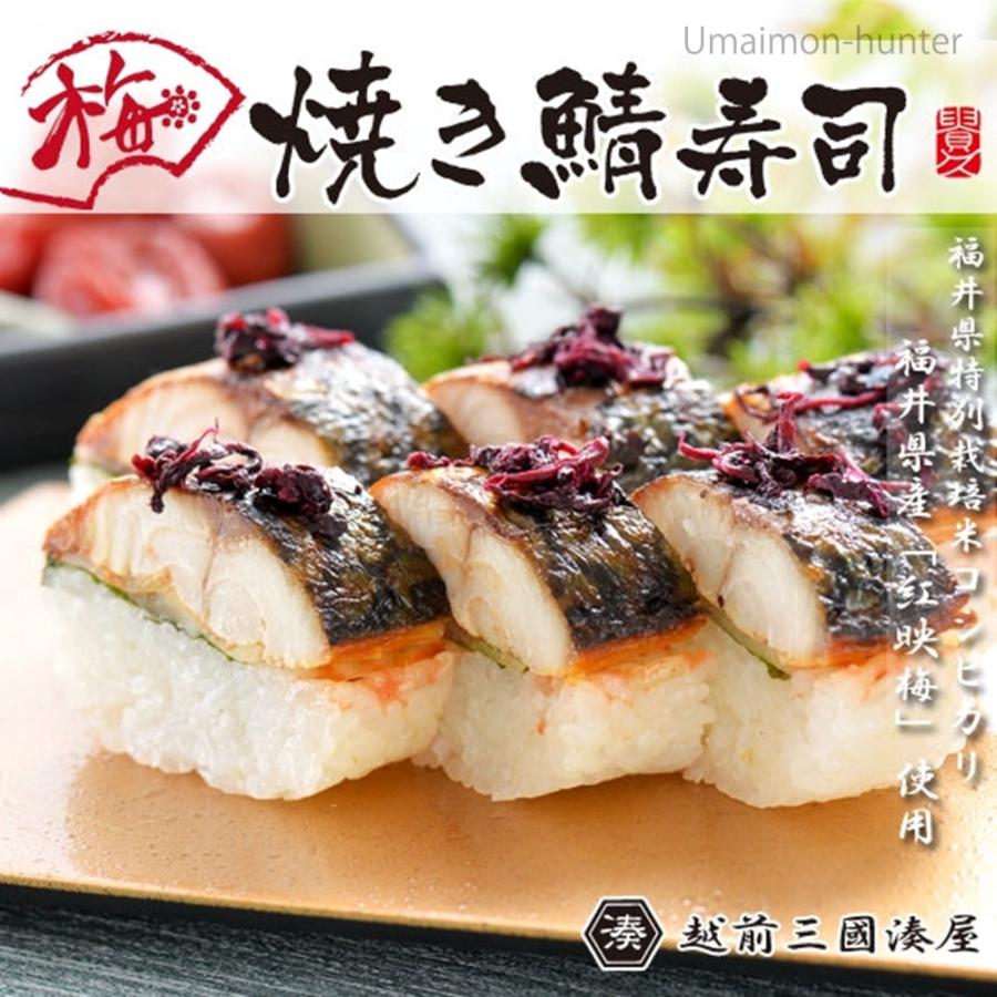 梅焼き鯖寿司 約290g×1本 越前三國湊屋 :STFZ-UMYKI-0290-NM-001:旨いもんハンター - 通販 - Yahoo!ショッピング