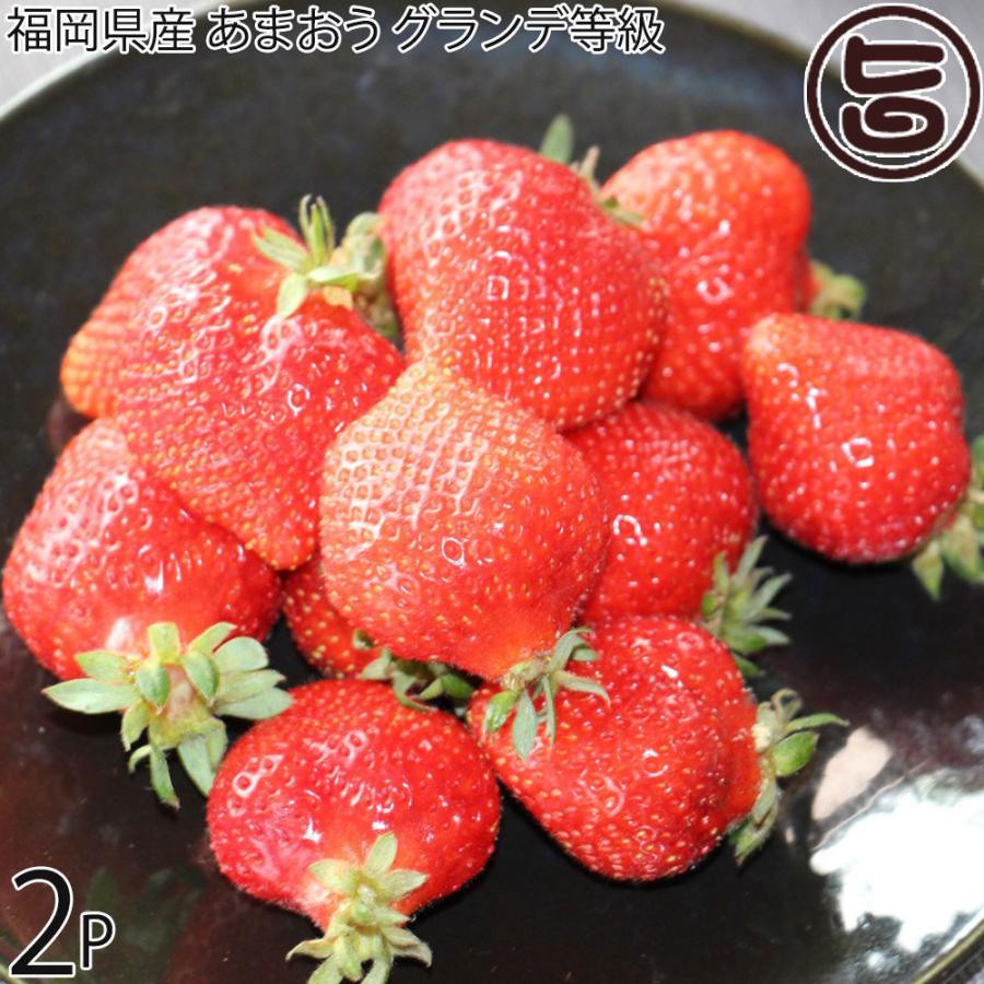 福岡県産 あまおう グランデ等級×2P よっちゃんファーム : ycyn-amoug-0001-gf-002 : 旨いもんハンター - 通販 - Yahoo!ショッピング