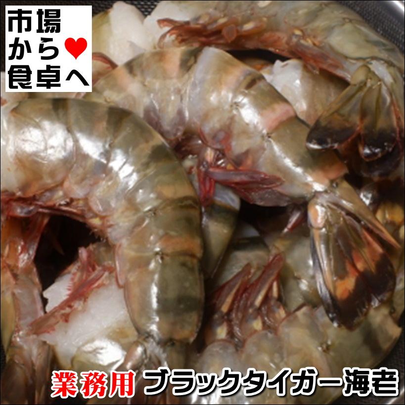 ブラックタイガー海老 えびsp16/20サイズ 1枚(1.8kg)【鮮度維持ブロック凍結】無頭・殻付き海老【冷凍便】 : うまいもの市場Yahoo!店 - 通販 - Yahoo!ショッピング