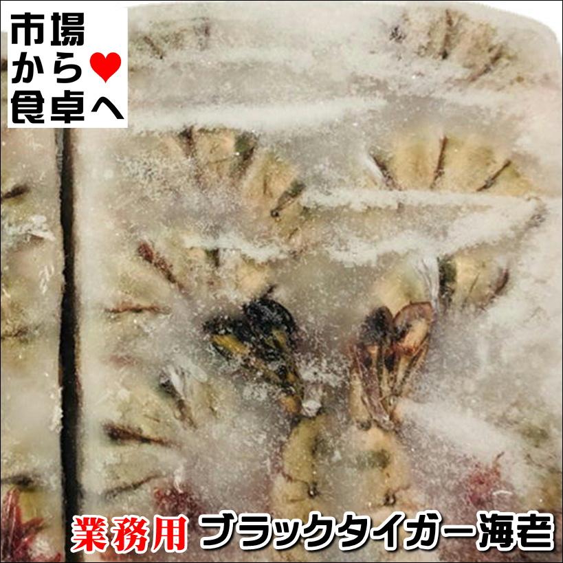 ブラックタイガー海老 えびsp16/20サイズ 1枚(1.8kg)【鮮度維持ブロック凍結】無頭・殻付き海老【冷凍便】 : うまいもの市場Yahoo!店 - 通販 - Yahoo!ショッピング