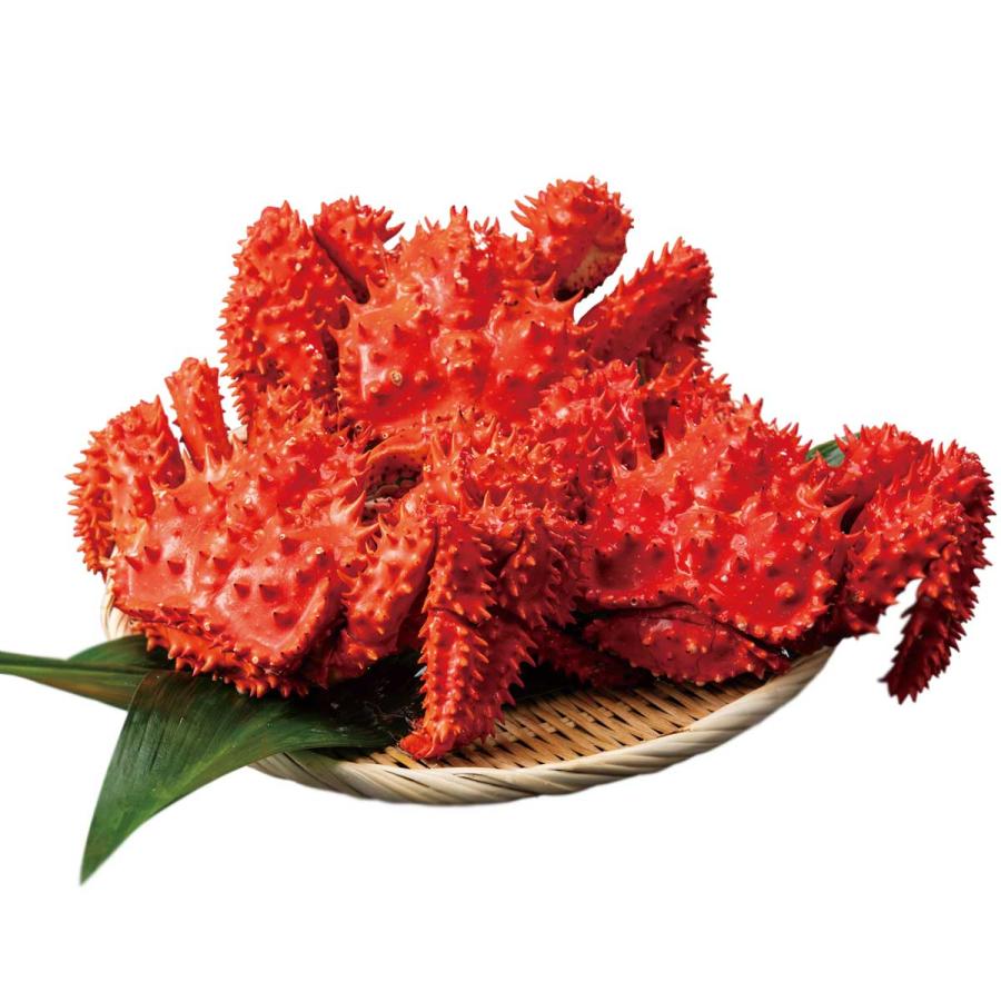 花咲蟹姿 3尾 約2.0kg / とれたて 美味いもの市 : とれたて!美味いもの市 - 通販 - Yahoo!ショッピング