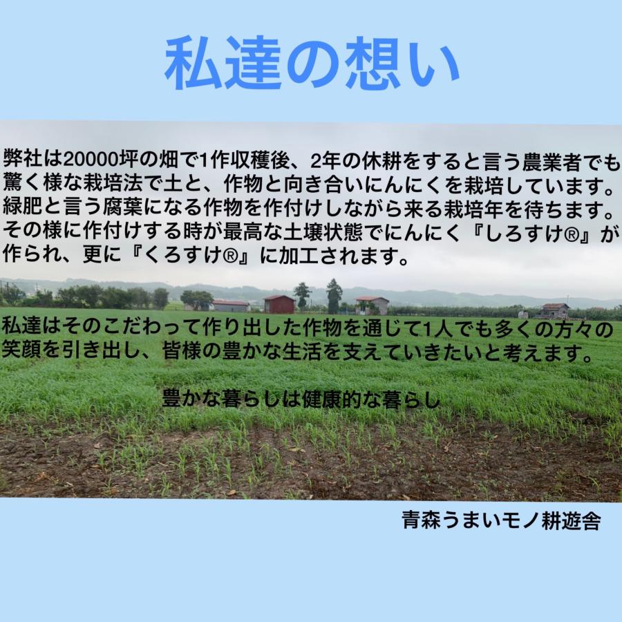 【4袋セット割】黒にんにく くろすけ ジップ袋入り4袋（120g×4袋）／480g／送料無料／バラ／黒ニンニク／青森県産／にんにく／国産／福地ホワイト／人気 : 青森うまいモノ耕遊舎Yahoo ...