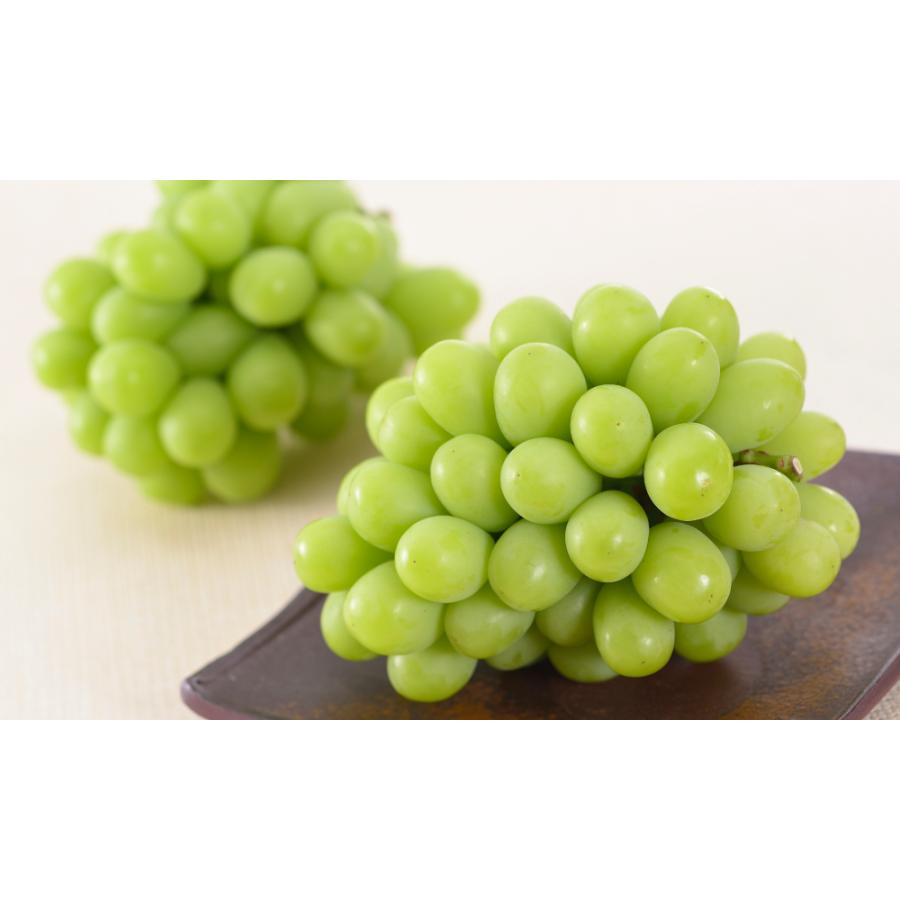 岡山県産シャインマスカット 2房 【7月中旬〜】【ASM-2S】 : うまいな岡山 Yahoo!店 - 通販 - Yahoo!ショッピング