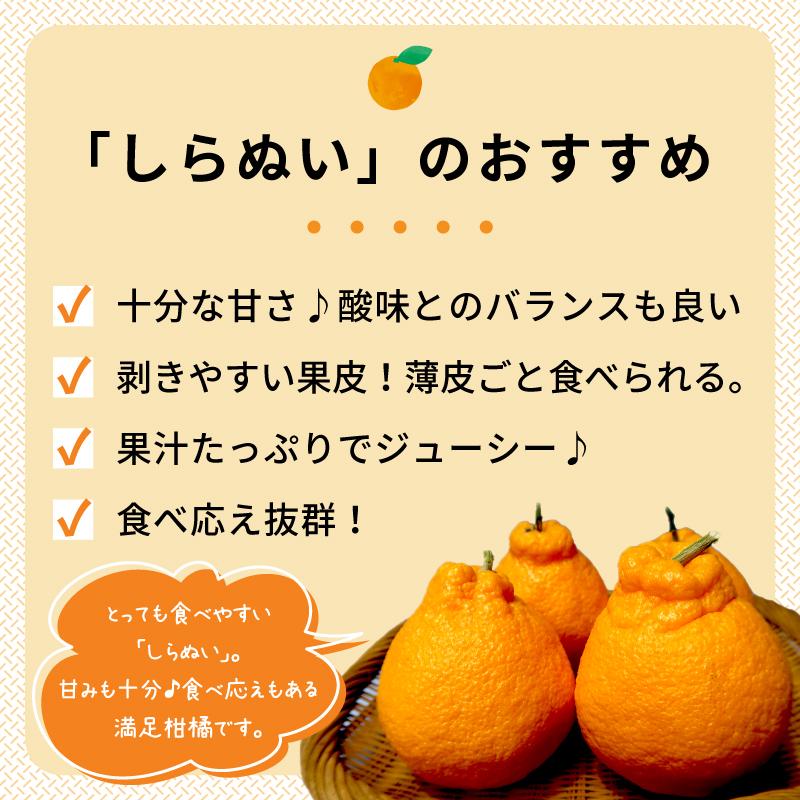 和歌山産 しらぬい 5kg 秀品 L〜3Lサイズ混合（15〜20玉前後）【送料無料】不知火 デコポン フルーツ ご贈答 ご家庭 柑橘 みかん ミカン : 旨幸 - 通販 - Yahoo!ショッピング