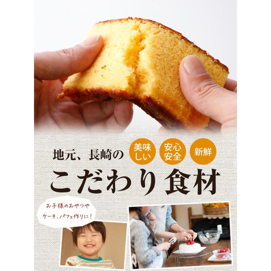 うまみ堂 長崎カステラ 切り落とし 選べる 3パック 訳あり 690g 送料無料 長崎 カステラ チョコ スイーツ みかど お取り寄せ ギフト うま味 [宅配] : うまみ堂 - 通販 ...