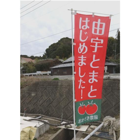 由宇とまと1kg 送料無料（500g2袋） 桃太郎 岩国ブランド 特産品 トマト農家 おかざき農園 : うまもん - 通販 - Yahoo!ショッピング