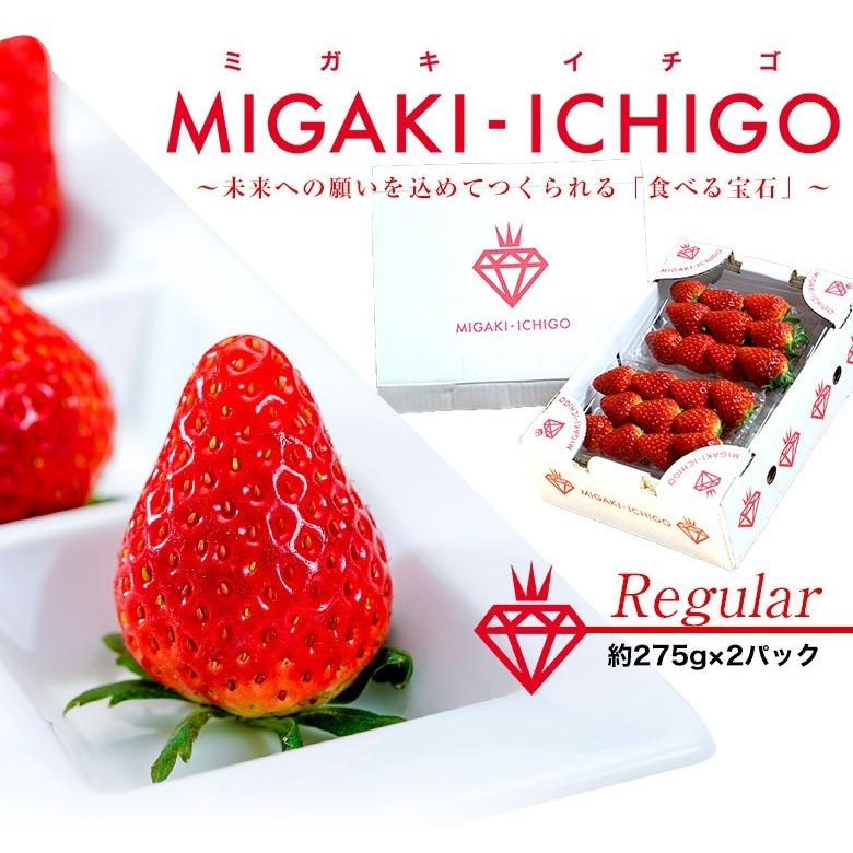 いちご イチゴ 苺 宮城県産 ミガキイチゴ Regular 1箱550g (約275g×2パック) ※冷蔵 送料無料 :201i11981-1:いただきマルシェ - 通販 - Yahoo!ショッピング