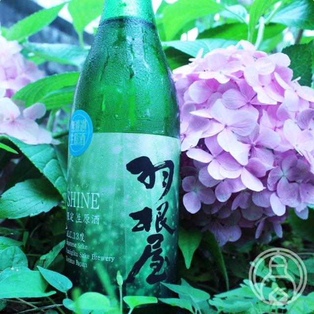羽根屋 SHINE(シャイン) 13度無濾過生原酒バージョン 720ml 冨美菊酒造／富山県 要冷蔵 日本酒 : 梅酒屋 - 通販 - Yahoo!ショッピング