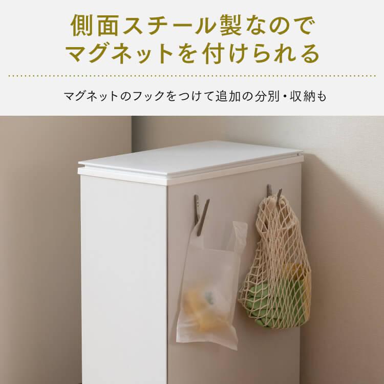 IRIS OHYAMA ゴミ箱 ごみ箱 おしゃれ 北欧 45L 45リットル キッチン 分別 屋外 スリム 蓋付き STPL-45 アイリスオーヤマ : ゆにでのこづち Yahoo!店 ...