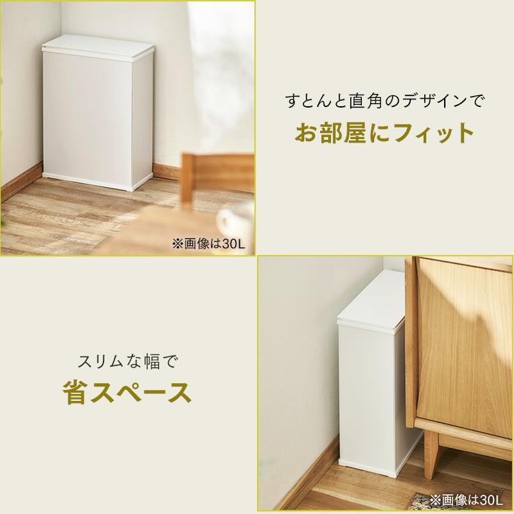 IRIS OHYAMA ゴミ箱 ごみ箱 おしゃれ 北欧 45L 45リットル キッチン 分別 屋外 スリム 蓋付き STPL-45 アイリスオーヤマ : ゆにでのこづち Yahoo!店 ...