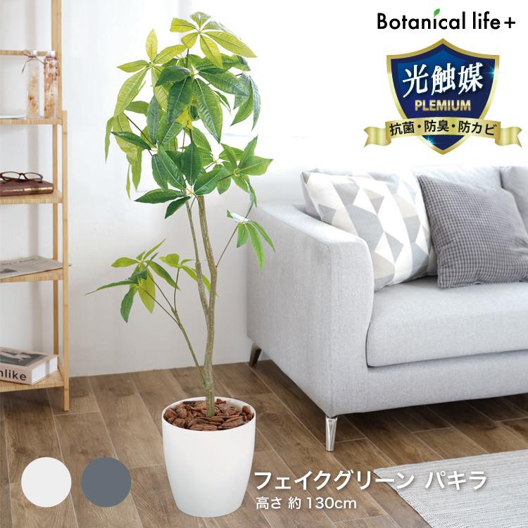 パキラ 23027 フェイクグリーン 観葉植物 光触媒 抗菌 消臭 インテリア 人工観葉植物 おしゃれ ホワイト グレー (代引不可)(TD) : ゆにでのこづち Yahoo!店 - 通販 ...