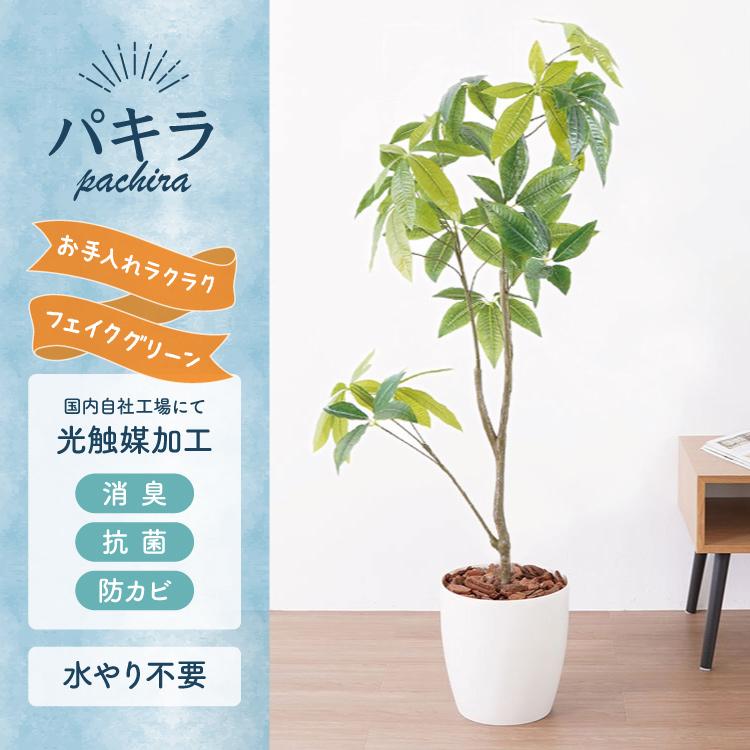 パキラ 23027 フェイクグリーン 観葉植物 光触媒 抗菌 消臭 インテリア 人工観葉植物 おしゃれ ホワイト グレー (代引不可)(TD) : ゆにでのこづち Yahoo!店 - 通販 ...