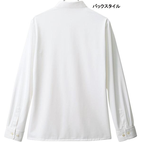 【抗ウイルス・抗菌】事務服 長袖シャツブラウス AR1402 エアリートリコット アルファピア : 48ar1402 : ワーキング ...