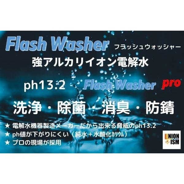 強アルカリイオン電解水溶液 フラッシュウォッシャーpro 20L ph13.2 : UNIONISM ショップ - 通販 - Yahoo!ショッピング