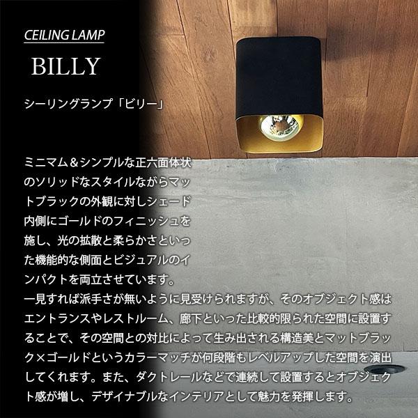 HERMOSA ハモサ BILLY CEILING LAMP ビリーシーリングランプ CM-011BK (白熱球付属) シーリングライト 天井直付照明 玄関照明 階段照明 : 817767 ...