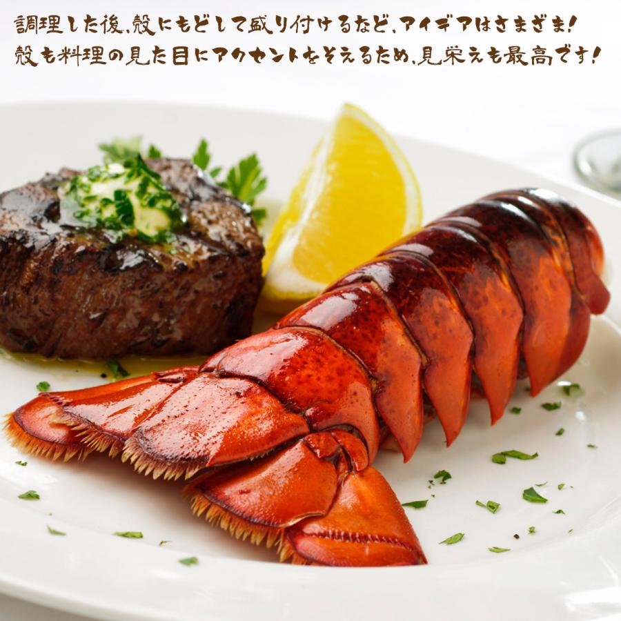 《UHP冷凍》オマール海老テール 3-4オンス(約85g-110g前後) 2尾セット : 活物専門商社 魚活 Yahoo!店 - 通販 - Yahoo!ショッピング