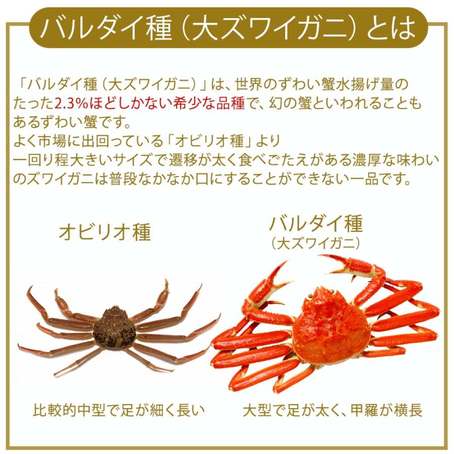 生 ズワイガニ ニッスイ 青箱 2kg 5R バルダイ種 セクション かに カニ 蟹 ずわい 日水 グルメ お取り寄せ カニすき 蟹鍋 : 10010-5r : おさかな問屋魚奏 - 通販 ...