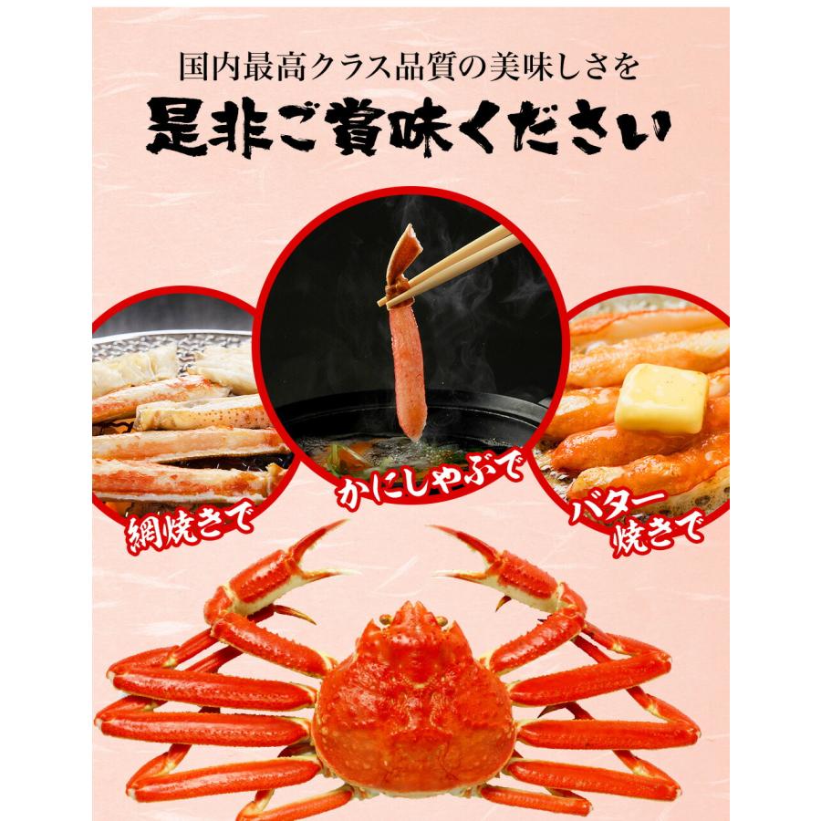 生 ズワイガニ ニッスイ 青箱 2kg 5R バルダイ種 セクション かに カニ 蟹 ずわい 日水 グルメ お取り寄せ カニすき 蟹鍋 : 10010-5r : おさかな問屋魚奏 - 通販 ...