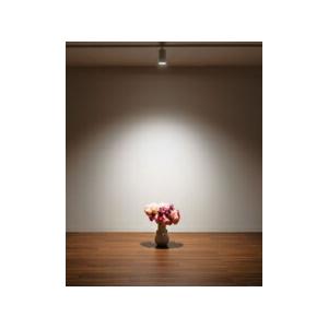 ODELIC（オーデリック） スポットライト 【OS256698BR】【OS 256 698BR