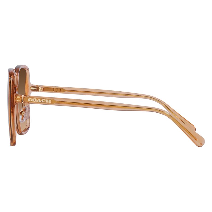 COACH コーチ サングラス HC8368D 556174 61 スクエア ウェリントン アジアンフィット レディース : ワッツアップ ...