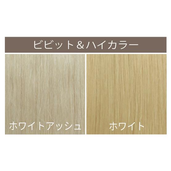 シールエクステ 約43cm 1シート(2本分) ホワイト アッシュ 人毛 シールエクステ 約43cm 1シート(2本分) ホワイト アッシュ 人毛