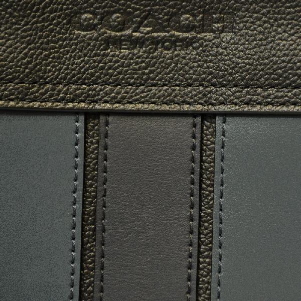 COACH（コーチ） 【並行輸入品】 訳あり ショルダー ボディー バッグ F49318 QBN3E バーシティー ストライプ レザー パック ...