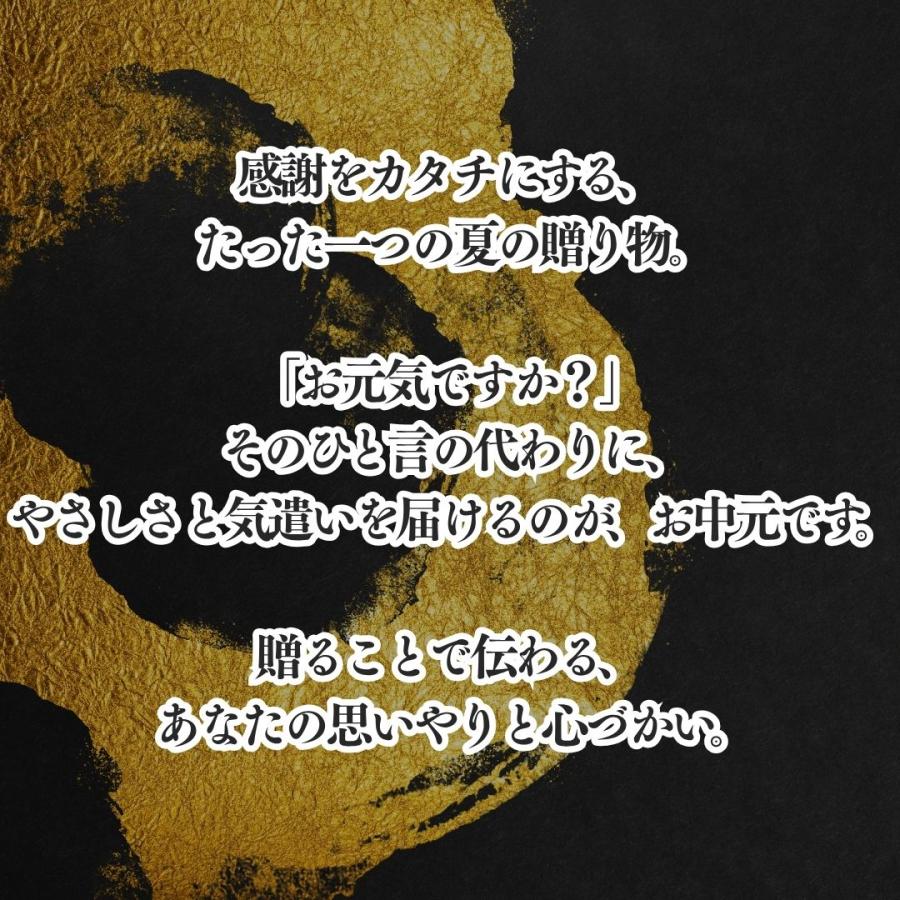 日本ハム クーポン配布中 お中元 ギフト 2025 北海道プレミアム 美ノ国 2種2点入 UKH-55 御中元 夏ギフト ハム 肉 : うさマートYahoo!ショッピング店 - 通販 ...