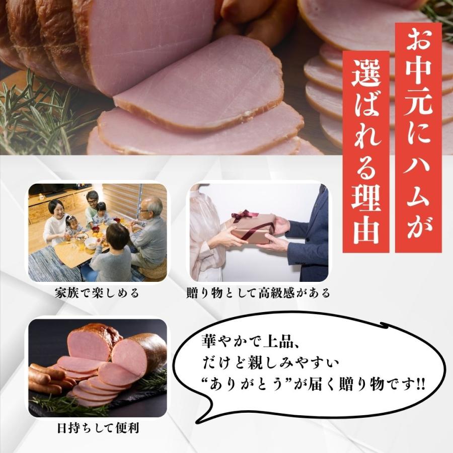 日本ハム クーポン配布中 お中元 ギフト 2025 北海道プレミアム 美ノ国 2種2点入 UKH-55 御中元 夏ギフト ハム 肉 : うさマートYahoo!ショッピング店 - 通販 ...
