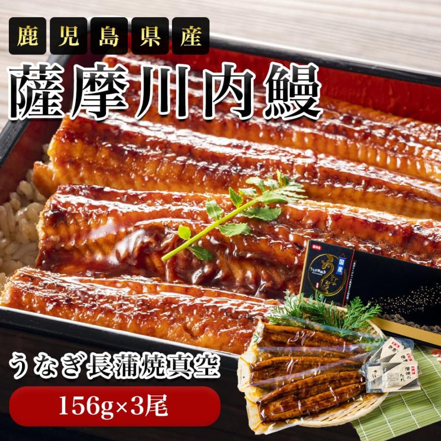 薩摩川内鰻 鹿児島県産 うなぎ長蒲焼真空 156g×3尾 ギフトセット ギフト うなぎ ウナギ 鰻 蒲焼 3尾 お惣菜 : うさマートYahoo!ショッピング店 - 通販 - Yahoo!ショッピング