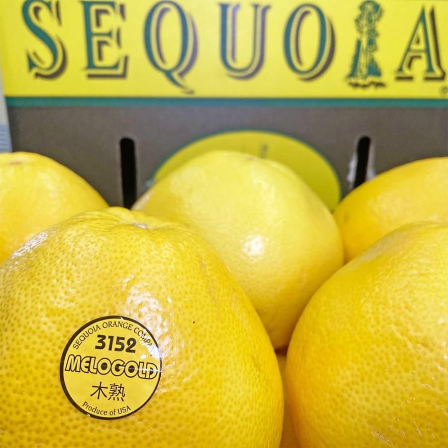 黄金の果実 木熟メロゴールド あふれる果汁 感動の柑橘 アメリカ産 大箱 約15kg 23〜27玉 中玉 セコイア 特選 丸進青果セレクト ...